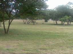 Bosque Macuto - parte 1